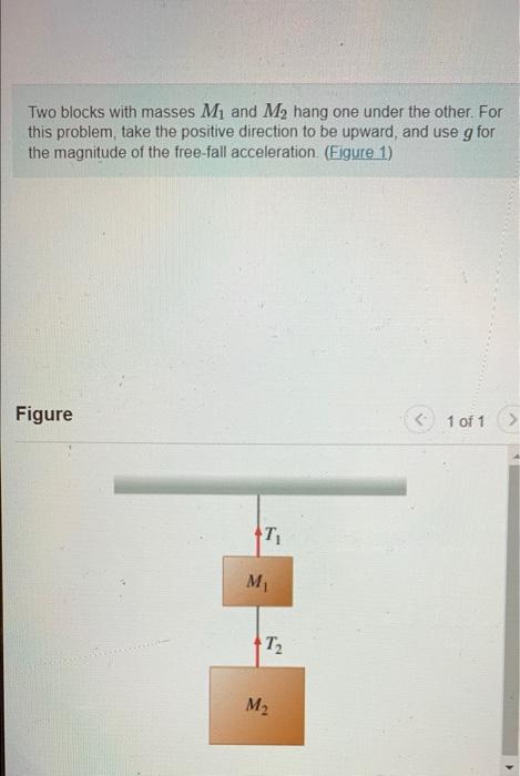 Solved Two blocks with masses My and M2 hang one under the | Chegg.com