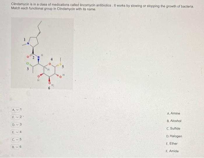 Solved Clindamycin is in a class of medications called | Chegg.com
