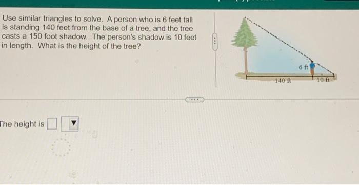 Solved Use similar triangles to solve. A person who is 6 | Chegg.com