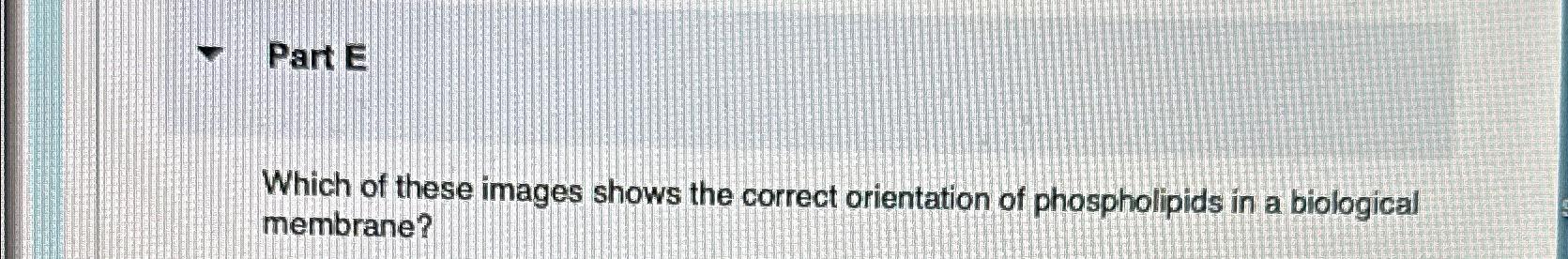 Solved Part EWhich of these images shows the correct | Chegg.com