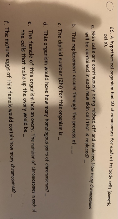 Solved 26. A hypothetical organism has 10 chromosomes for | Chegg.com