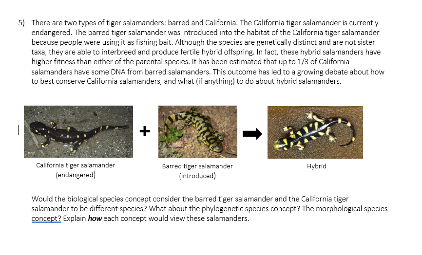 Solved There are two types of tiger salamanders: barred and | Chegg.com
