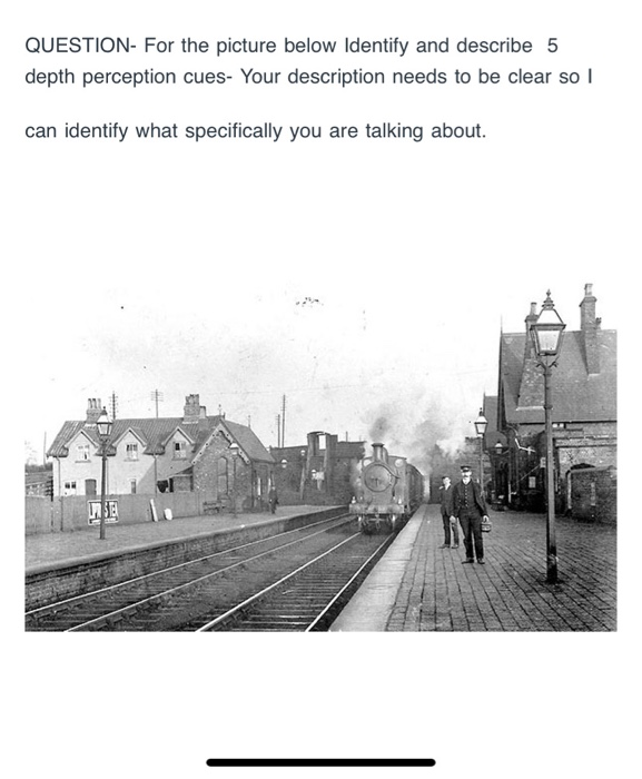 Solved QUESTION- For the picture below Identify and describe | Chegg.com