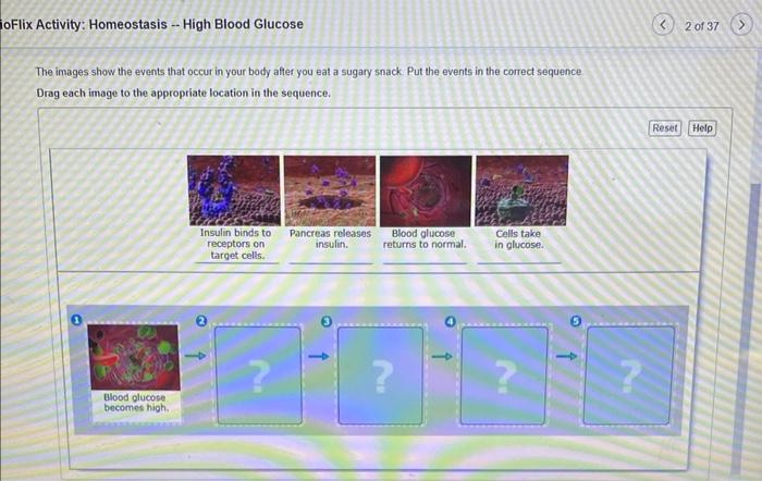 Solved oFlix Activity: Homeostasis - High Blood Glucose The | Chegg.com