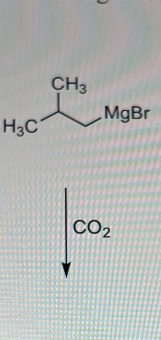Solved H3C CH3 MgBr CO₂ | Chegg.com