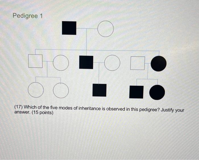 Solved which of the five modes of inheritance is observed in | Chegg.com