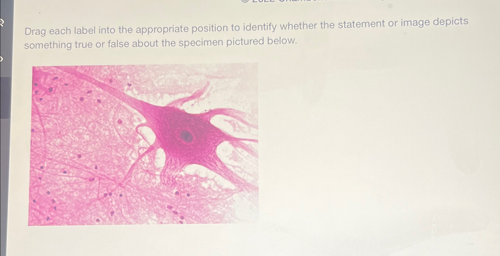 Solved Drag Each Label Into The Appropriate Position To