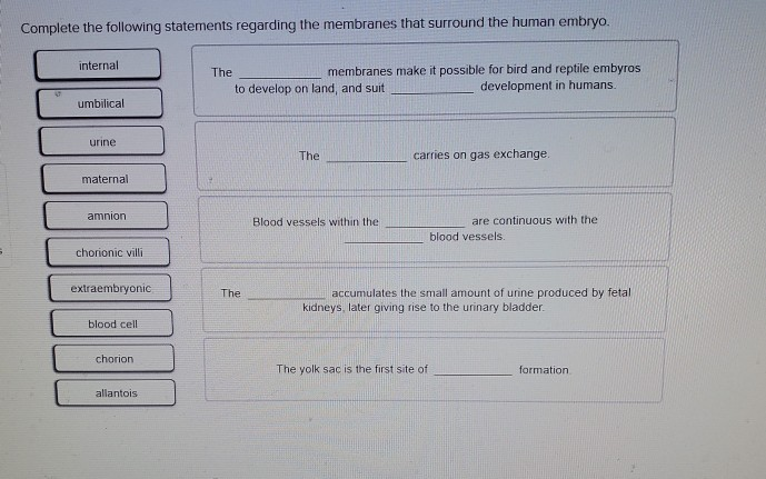 Solved Complete the following statements regarding the | Chegg.com