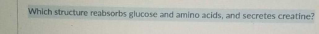 Solved Which structure reabsorbs glucose and amino acids, | Chegg.com