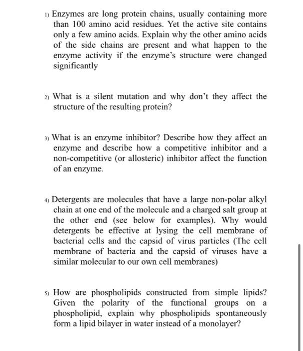 Solved 1) Enzymes are long protein chains, usually | Chegg.com