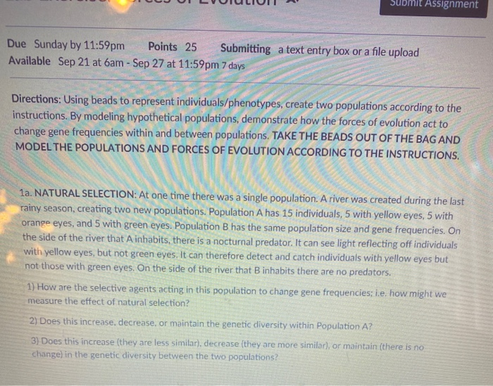 Solved Submit Assignment Due Sunday by 11:59pm Points 25 | Chegg.com
