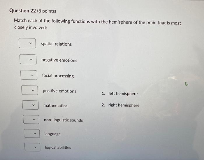Solved Match each function with the neurotransmitter that is | Chegg.com