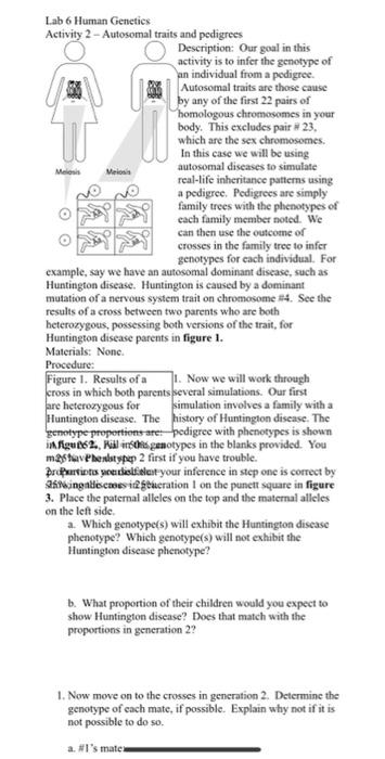 Solved OO Lab 6 Human Genetics Activity 2 - Autosomal traits | Chegg.com