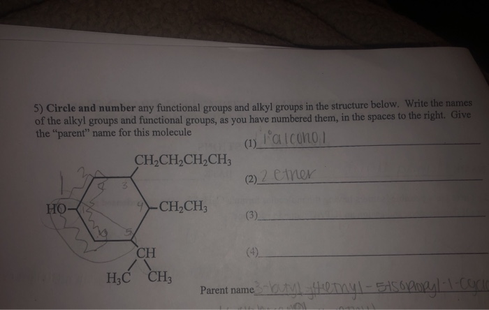 Solved 5) Circle and number any functional groups and alkyl | Chegg.com