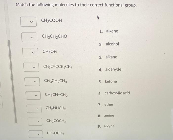 Solved Match the following molecules to their correct | Chegg.com