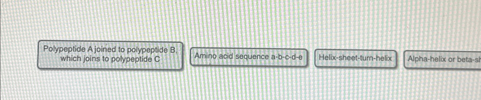 Solved Polypeptide A joined to polypeptide B. ﻿which joins | Chegg.com