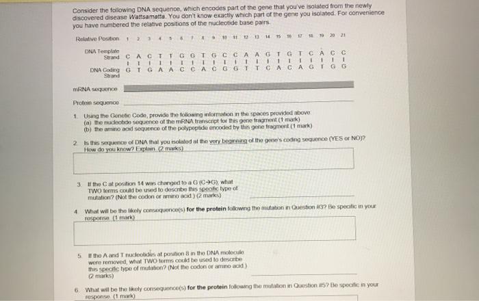 Solved Consider the following DNA sequence, which encodes | Chegg.com