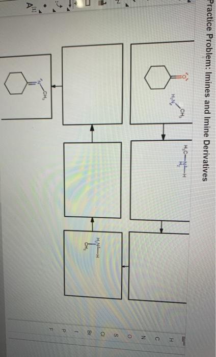 Solved anism Practice Problem: Imines and Imine Derivatives | Chegg.com