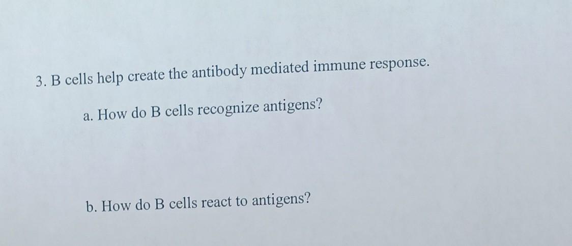 Solved 3. B cells help create the antibody mediated immune | Chegg.com