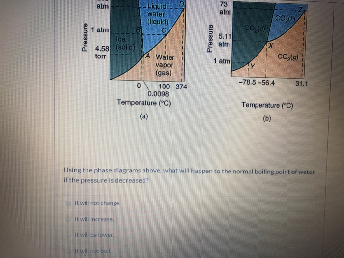 Solved atm ---- am ----- - - Liquid water (liquid) CO (1) 1 | Chegg.com