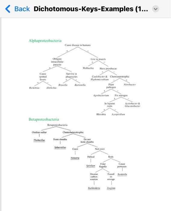 Gammaproteobacteria Deltaproteobacteria | Chegg.com