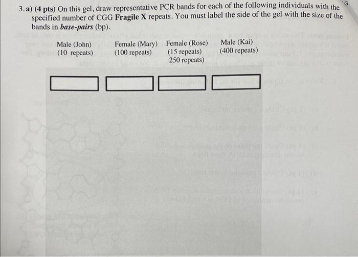 Solved 3.a) (4 pts) On this gel, draw representative PCR | Chegg.com