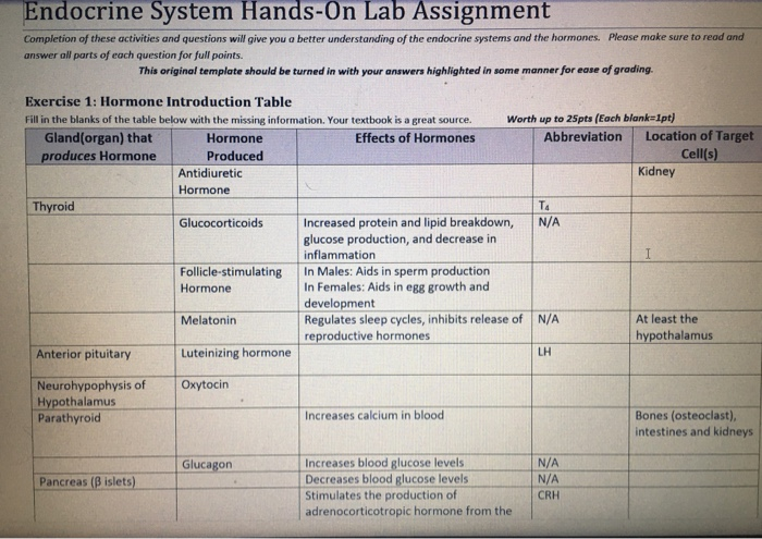 Solved Endocrine System Hands On Lab Assignment Completion