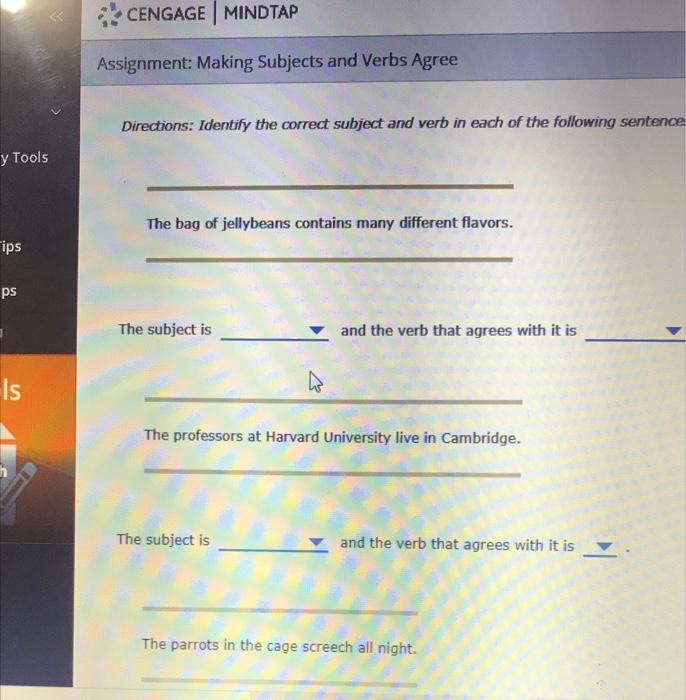 Directions: Identify the correct subject and verb in | Chegg.com