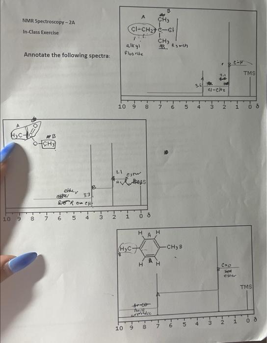 Solved Answer the questions below directly on the NMR | Chegg.com