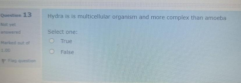 Solved Question 13 Hydra is is multicellular organism and | Chegg.com