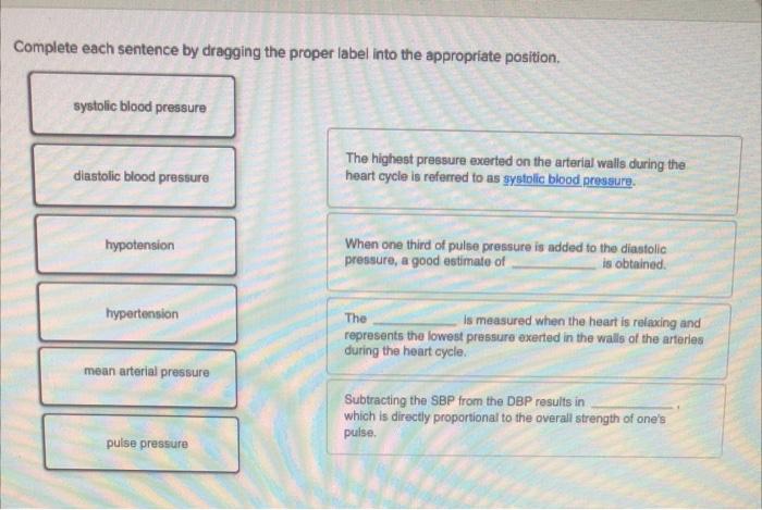 Solved Complete Each Sentence By Dragging The Proper Label Chegg