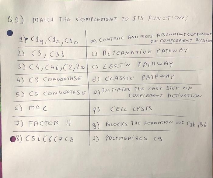 Solved Q1) MATCH THE COMPLEMENT TO ITS FUNCTION: | Chegg.com