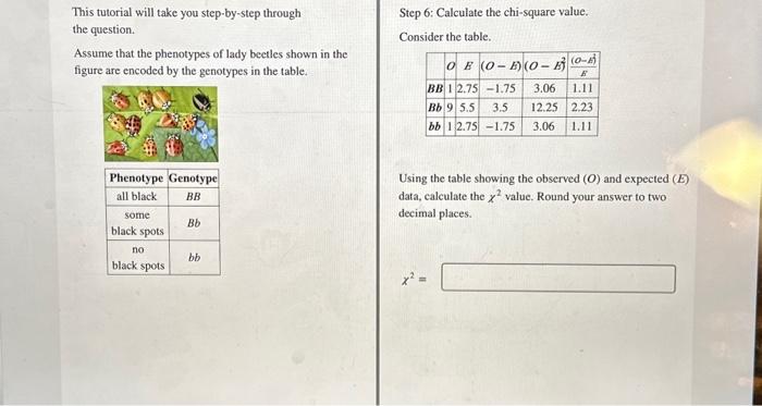 Solved This tutorial will take you step-by-step through Step | Chegg.com