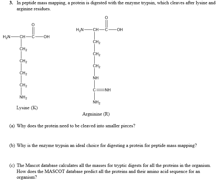 Solved In peptide mass mapping, a protein is digested with | Chegg.com