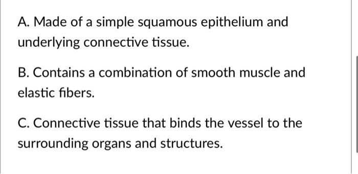 Solved A. Made of a simple squamous epithelium and | Chegg.com