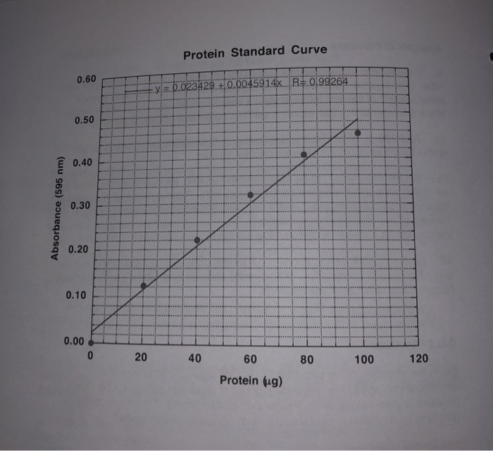 Solved Protein Concentration (ug/uL) Total Protein In | Chegg.com