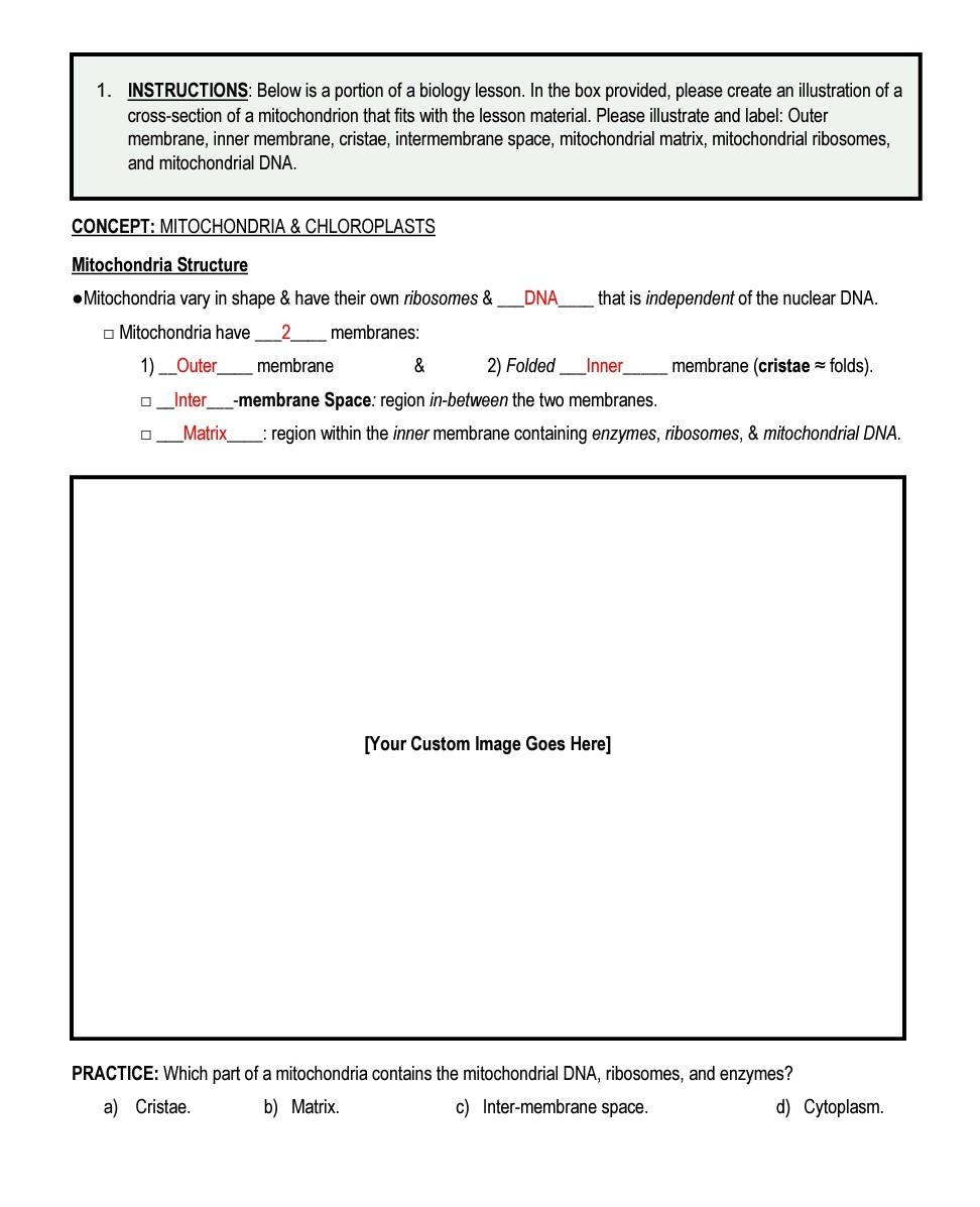 Create image on the page and attached it, the image | Chegg.com