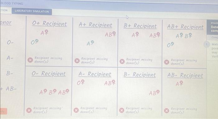 Solved BLOOD TYPING CTION onor A- ify B- LABORATORY | Chegg.com