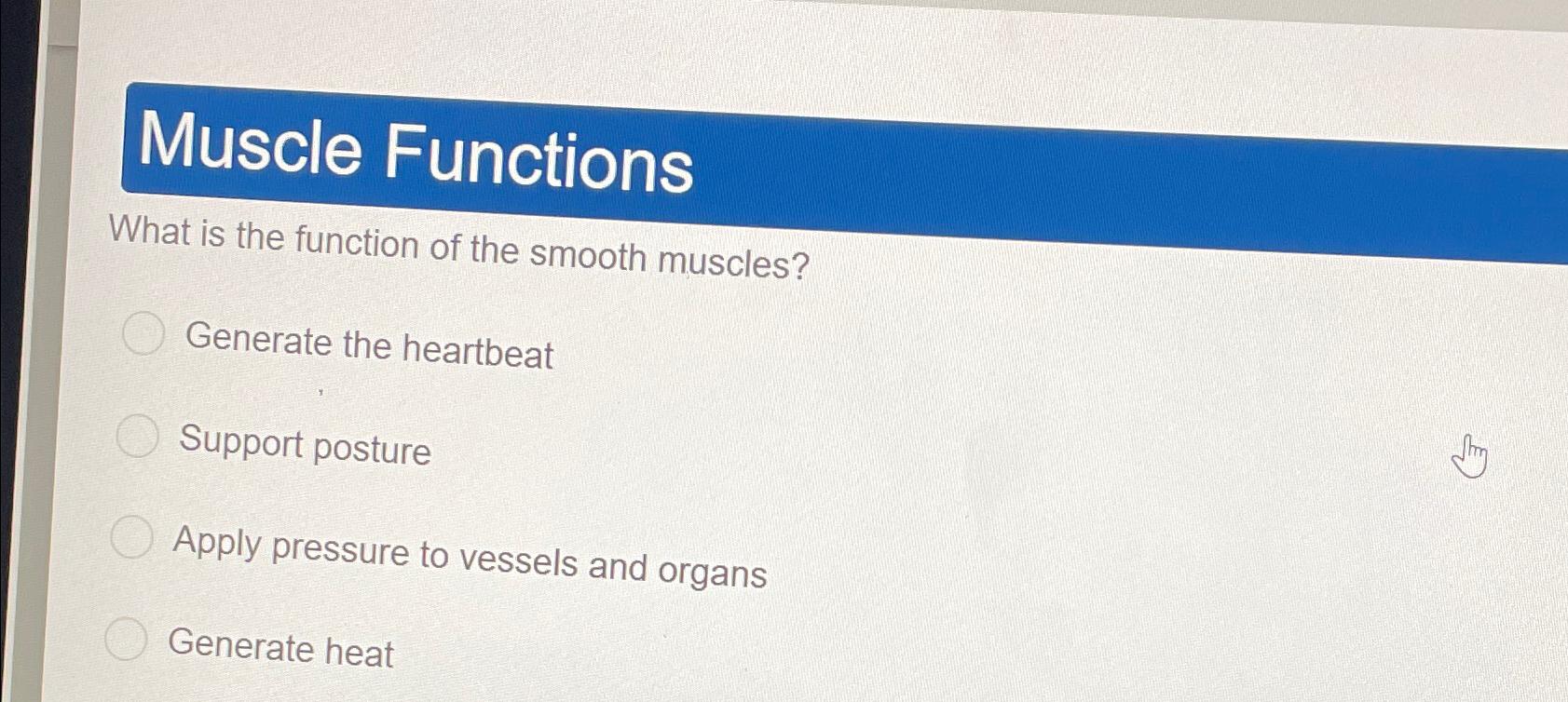 Solved Muscle FunctionsWhat is the function of the smooth | Chegg.com