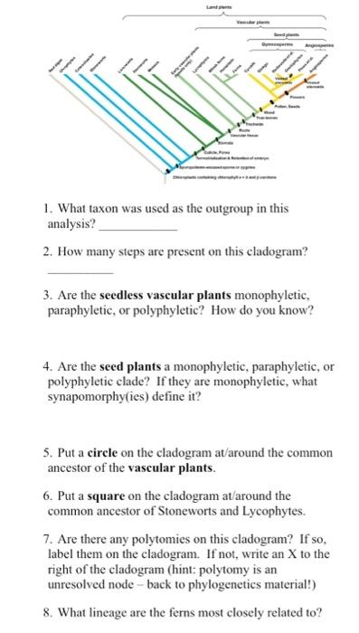 Solved 1. What taxon was used as the outgroup in this | Chegg.com