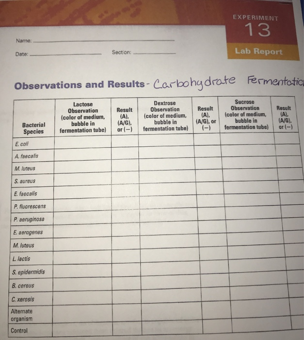 EXPERIMENT 13 Name: Date: Section: Lab Report | Chegg.com