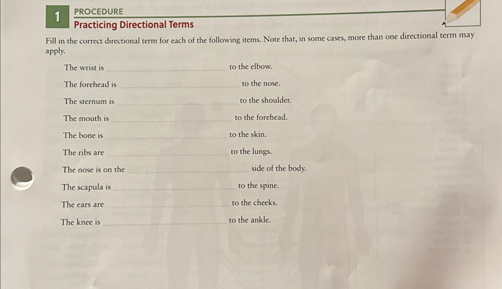 Solved 1PROCEDUREPracticing Directional TermsFill in the | Chegg.com