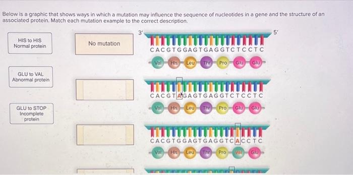 Solved Below is a graphic that shows ways in which a | Chegg.com