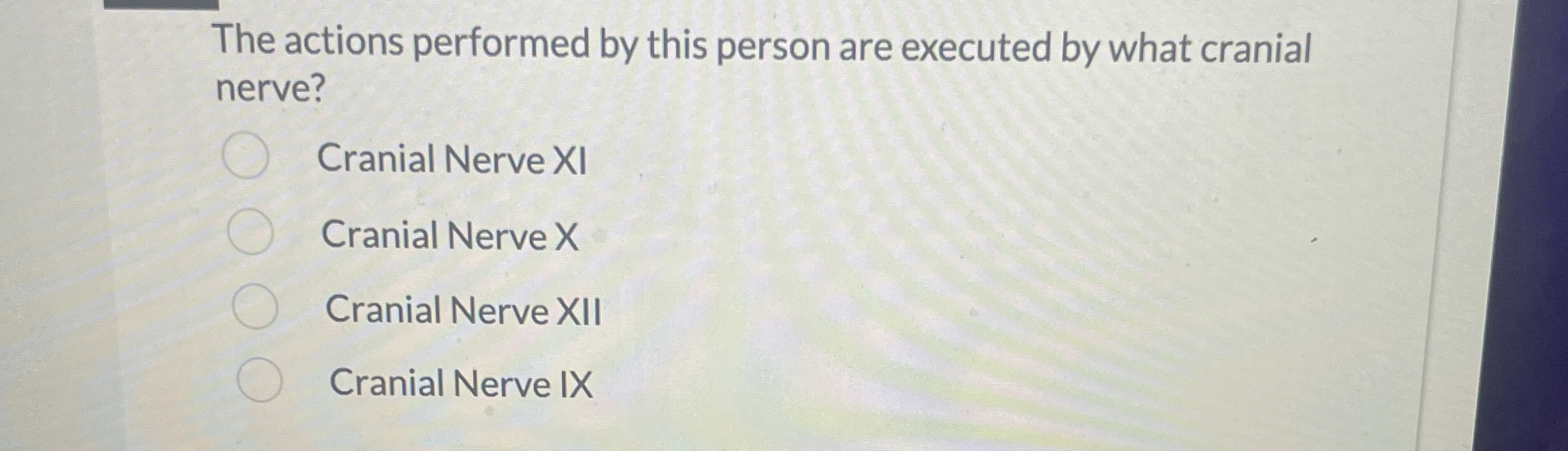 Solved The actions performed by this person are executed by | Chegg.com