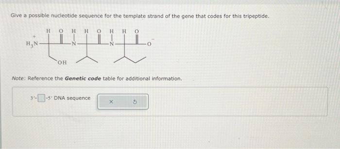 Solved Give a possible nucleotide sequence for the template | Chegg.com