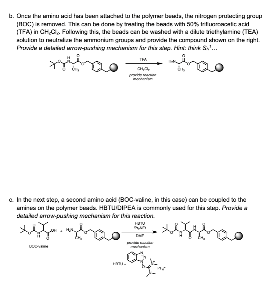 Solved b. ﻿Once the amino acid has been attached to the | Chegg.com