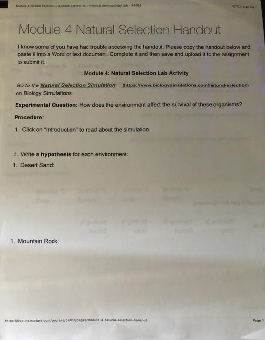 Solved Module 4 Natural Selection Handout I know some of you | Chegg.com