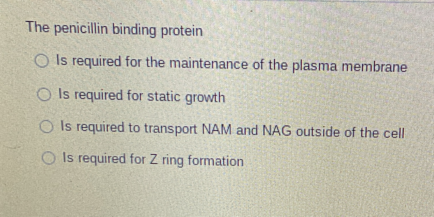 Solved The penicillin binding proteinIs required for the | Chegg.com