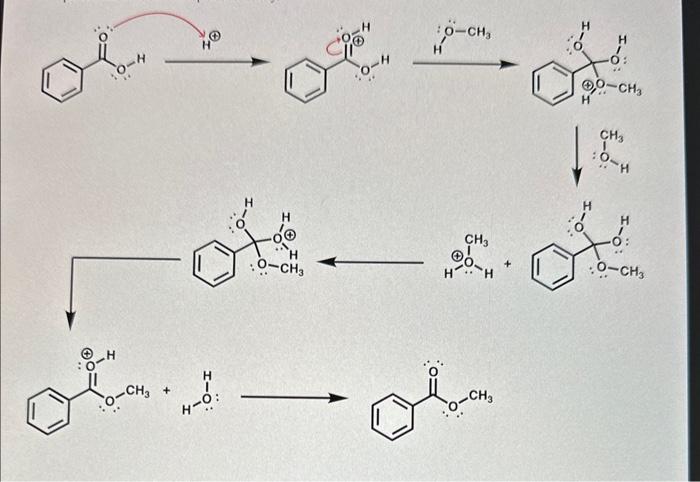 Solved having a hard time figuring out how to properly do | Chegg.com