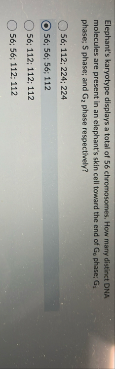Solved Elephant's karyotype displays a total of 56 | Chegg.com
